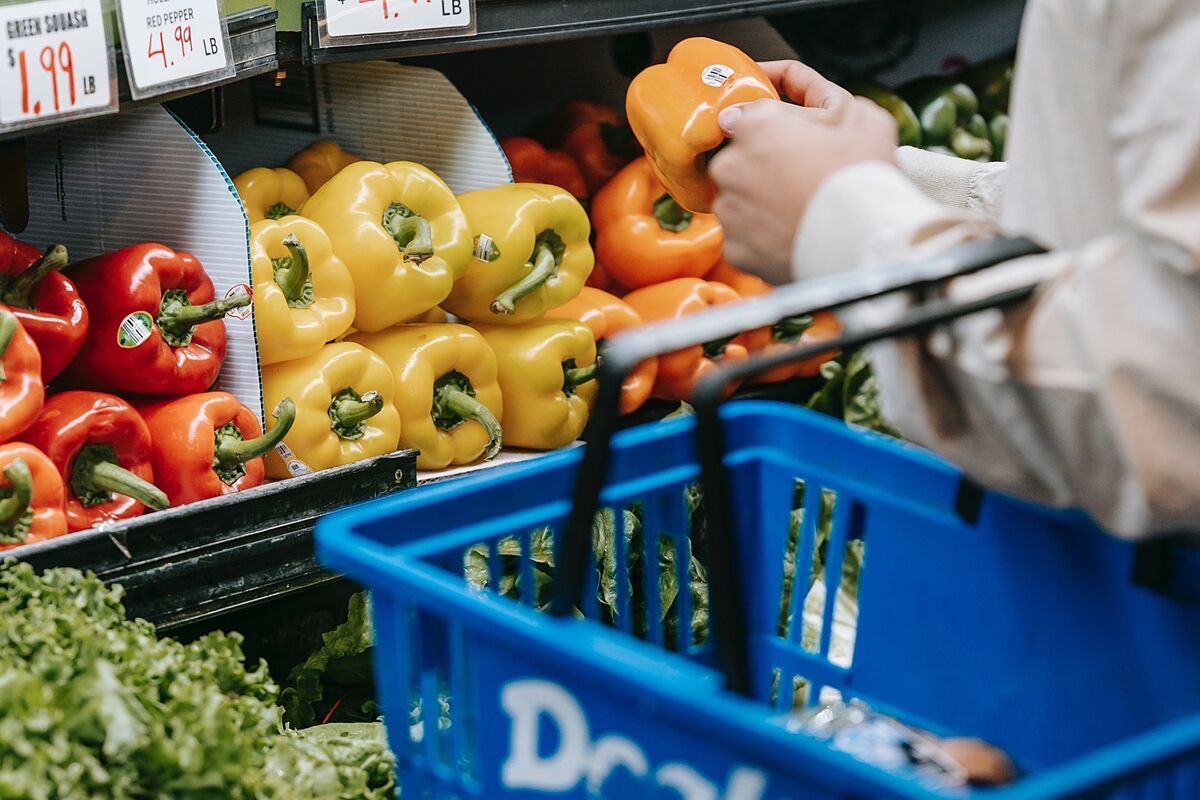 Florida SNAP Benefits Recertification: When is August last day to renew ...