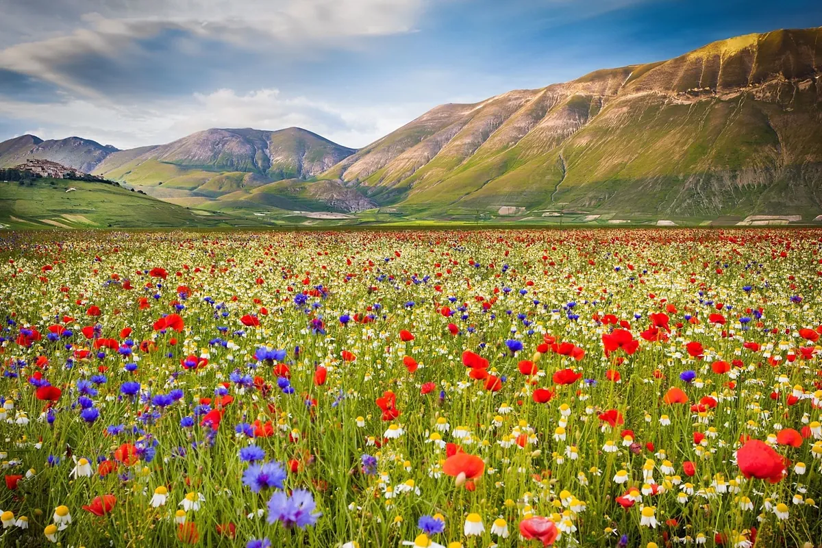 When is the first day of spring in 2026? Date and time of the equinox ...