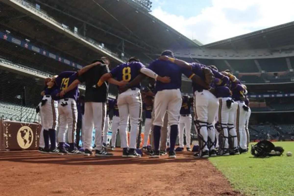 Baseball brawl: $50K fines after brutal walk-off ending that sparked on ...