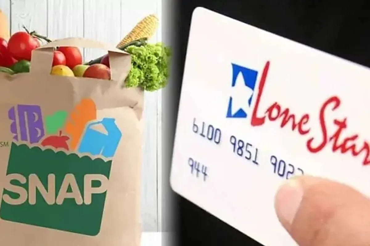 SNAP Payment Texas: Full list of beneficiaries in the third week of ...