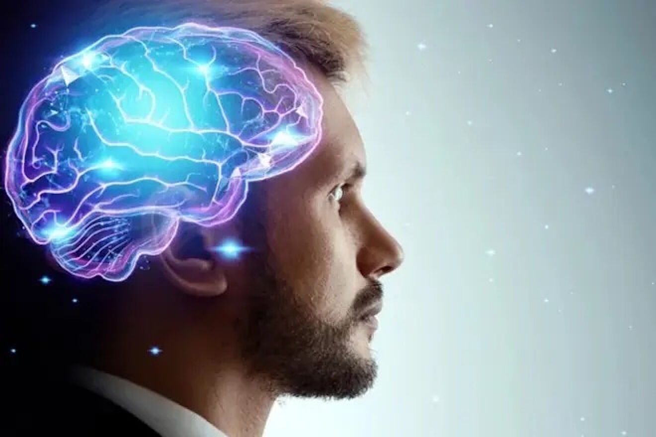 Goodbye to everything we knew about the brain: a new study suggests ...