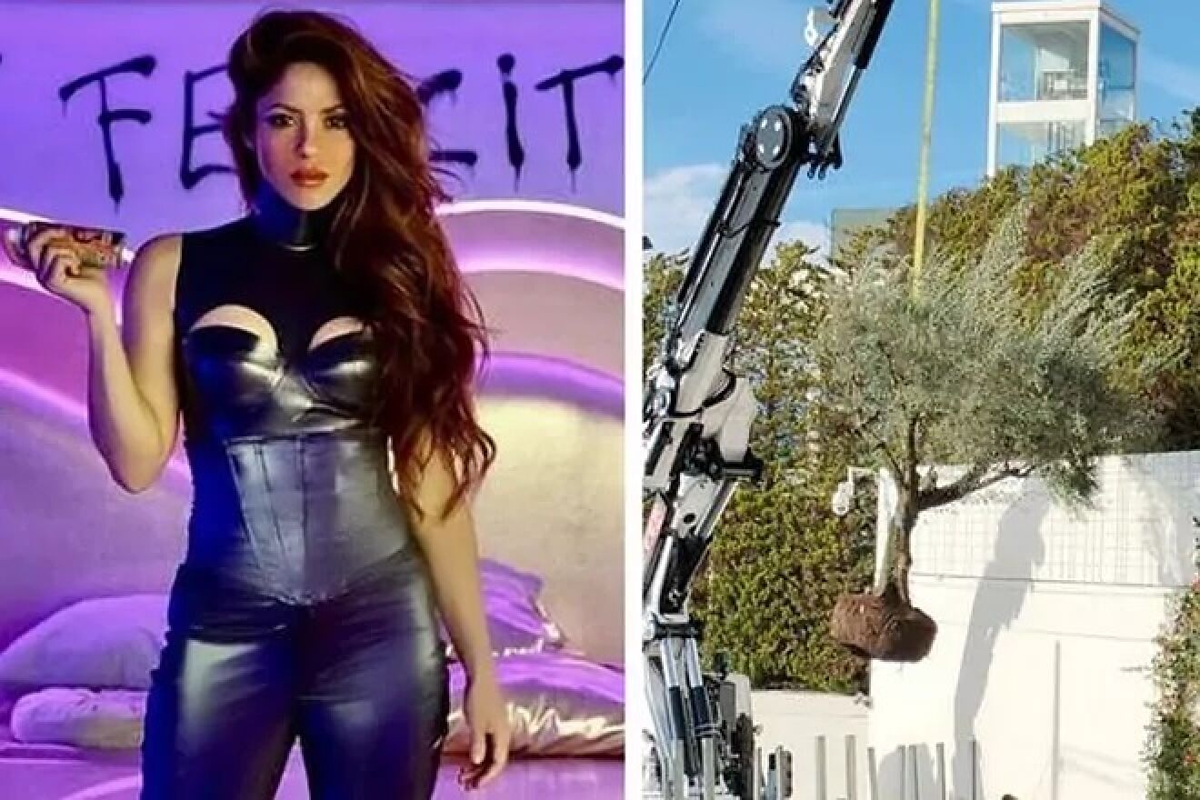 Did Shakira take a tree from her garden in Barcelona to Miami? Here's ...