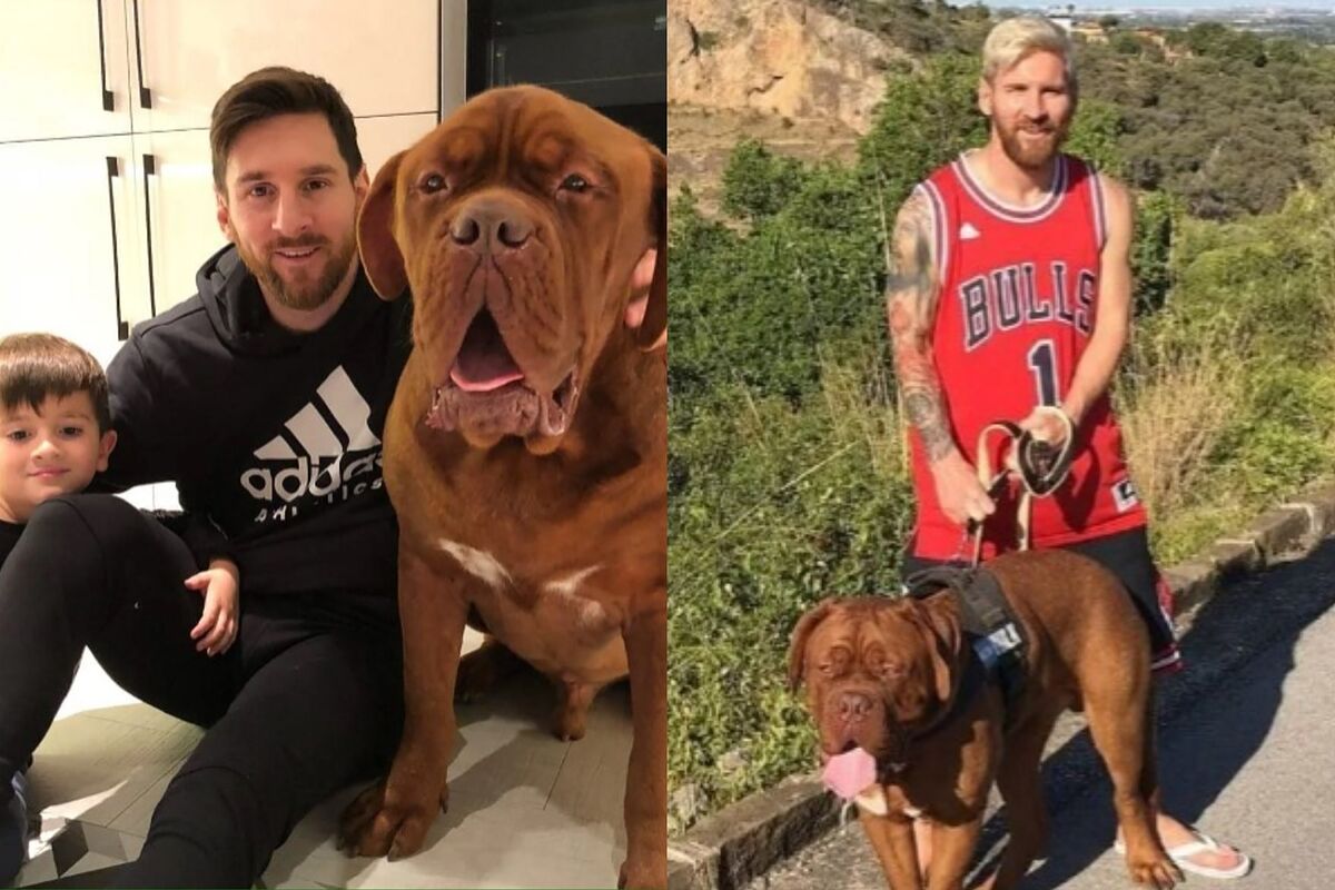 Messi's move to Miami forced family to leave behind Hulk, their beloved ...