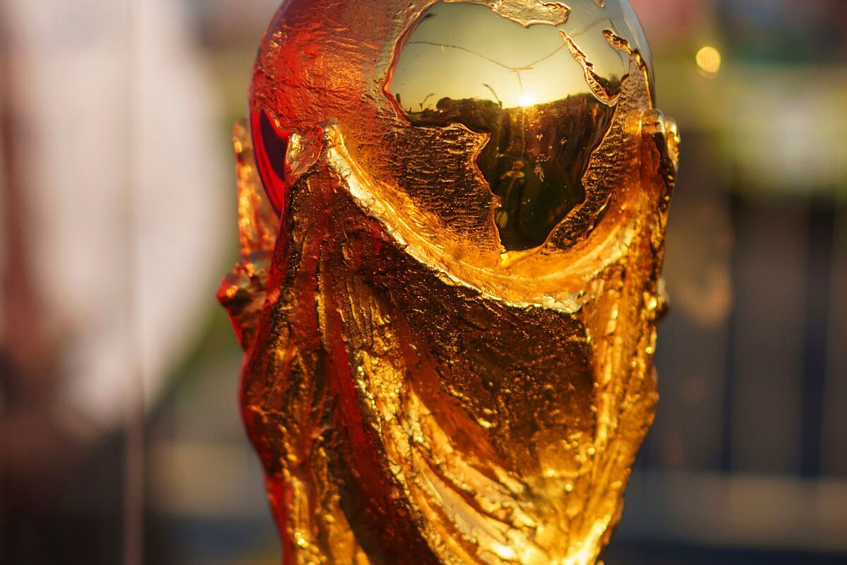 World Cup 2022: Dogs, cats, eagles and fish predict winner of the Qatar ...
