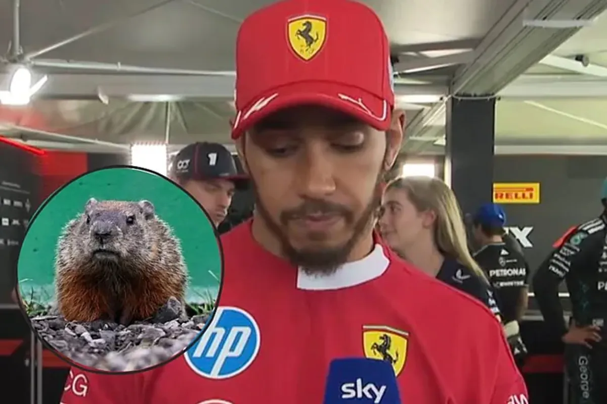 Lewis Hamilton laments and mourns the death of a groundhog at the ...