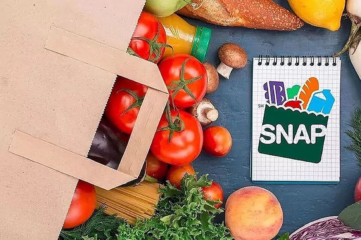 Florida SNAP Benefits: Haven't got your August payment? Check here when ...