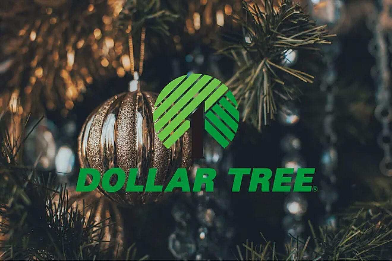 Dollar Tree seasonal deals: 18 must-have items if you live on Social ...