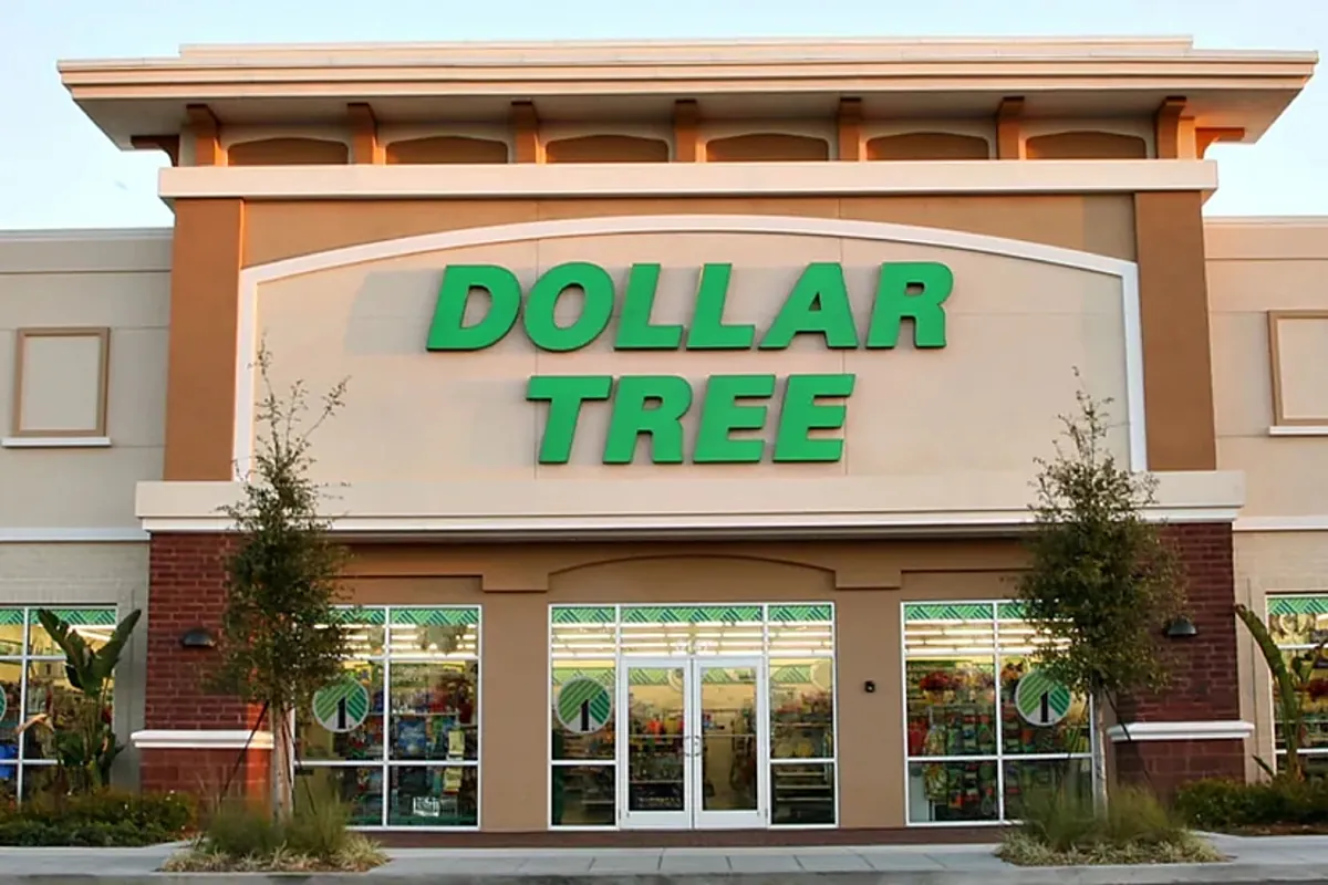 What are the best Dollar Tree items you can buy to organize your vanity ...