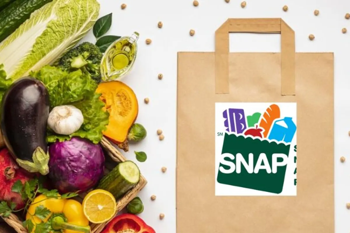 SNAP Florida Recertification March 2025: How long do you have to start ...