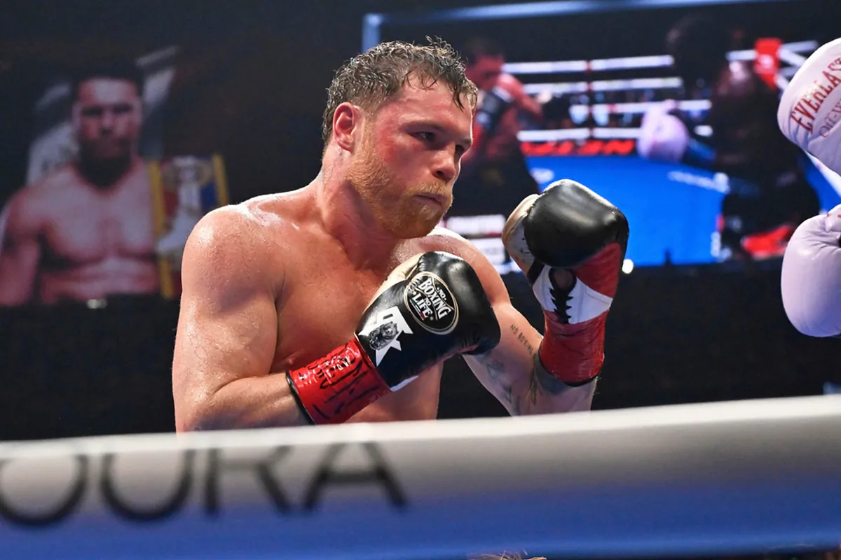 Former World Champion urges Canelo Álvarez to retire following defeat ...