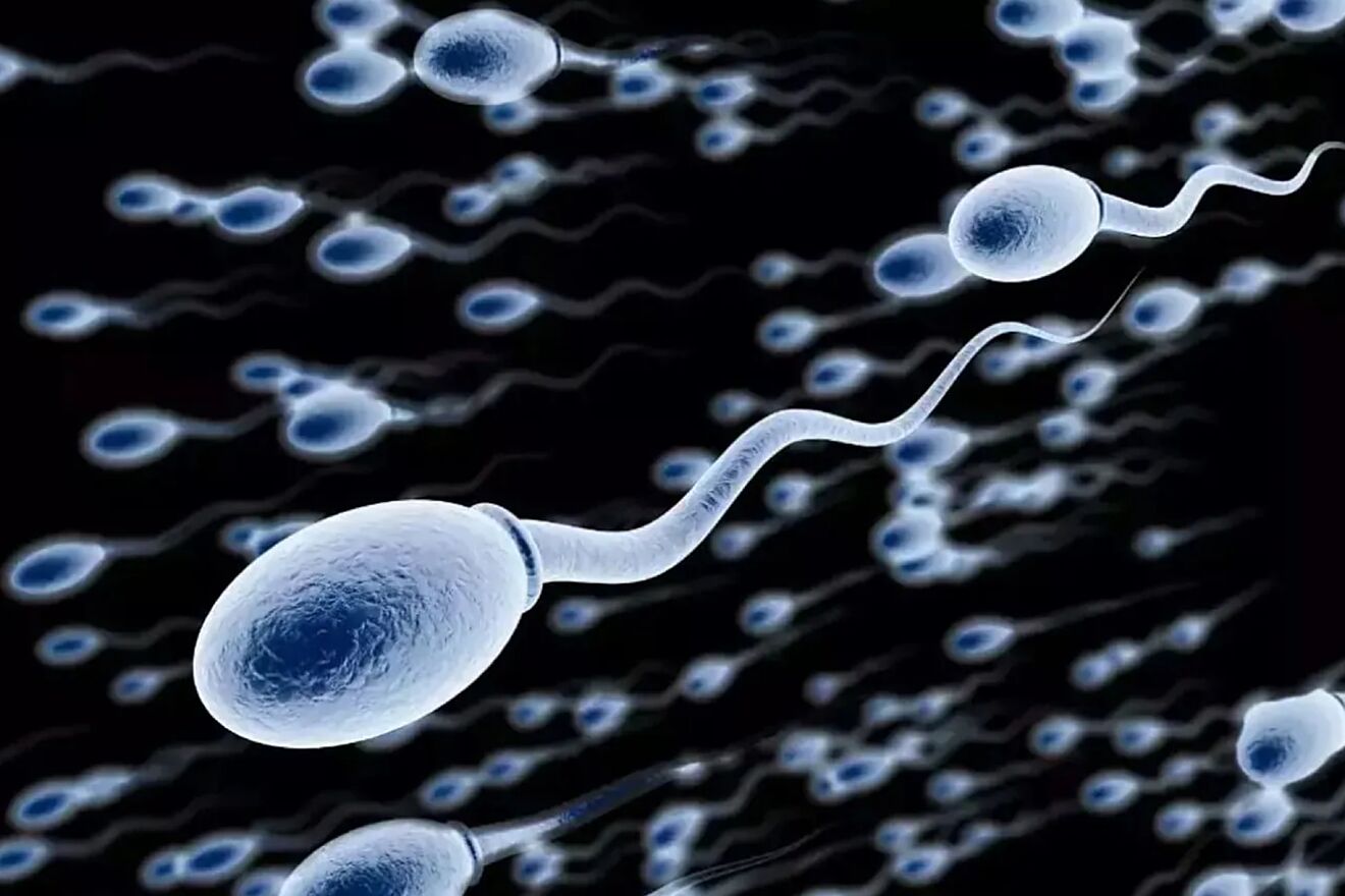 USC student wins wild first-ever sperm race in Los Angeles showdown | Marca