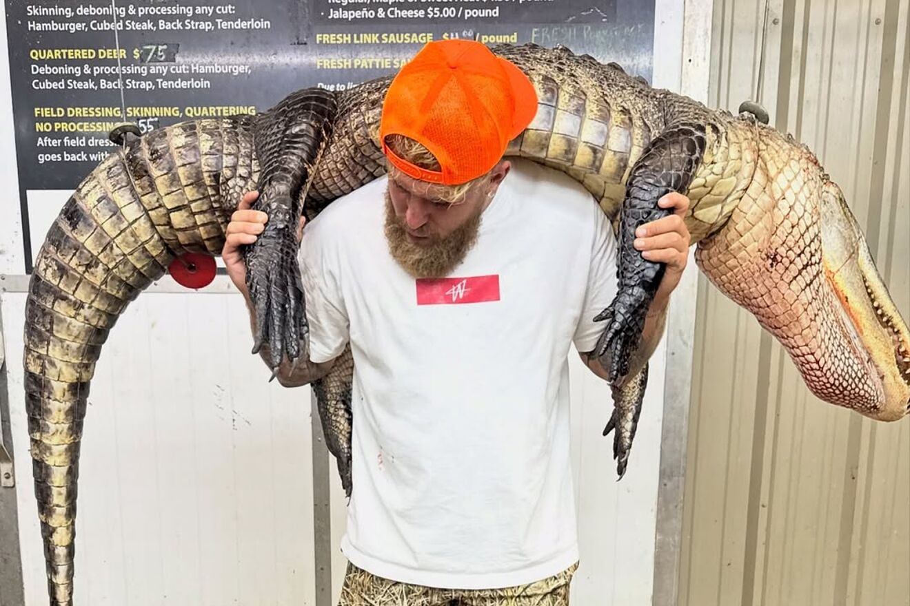 Jake Paul extravagant fight outfit made from animals he hunted himself ...