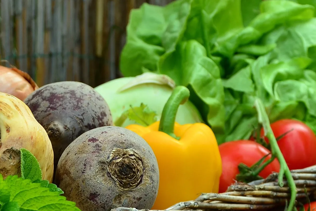 Quitting ultra-processed foods would have these effects on your body ...