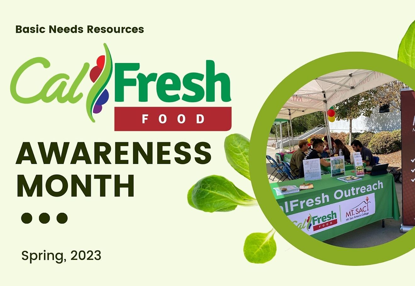 CalFresh Benefits Products list: What can you buy with CalFresh | Marca