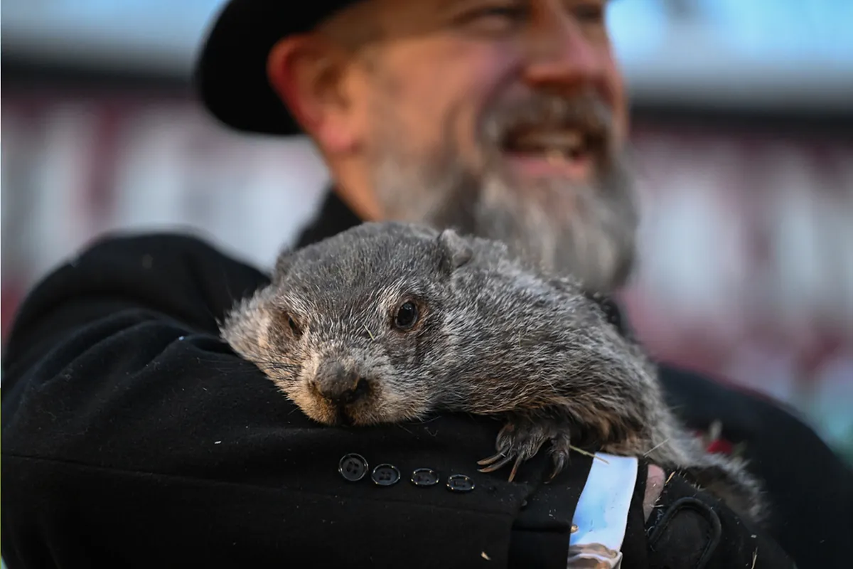 Groundhog Day 2026: What was Punxsutawney Phil's prediction about ...