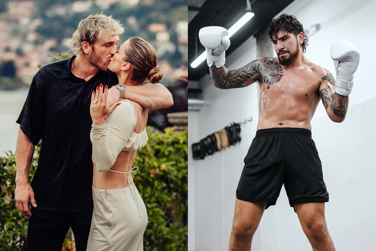 Nina Agdal gets encouraging update in her restrain order against Dillon ...