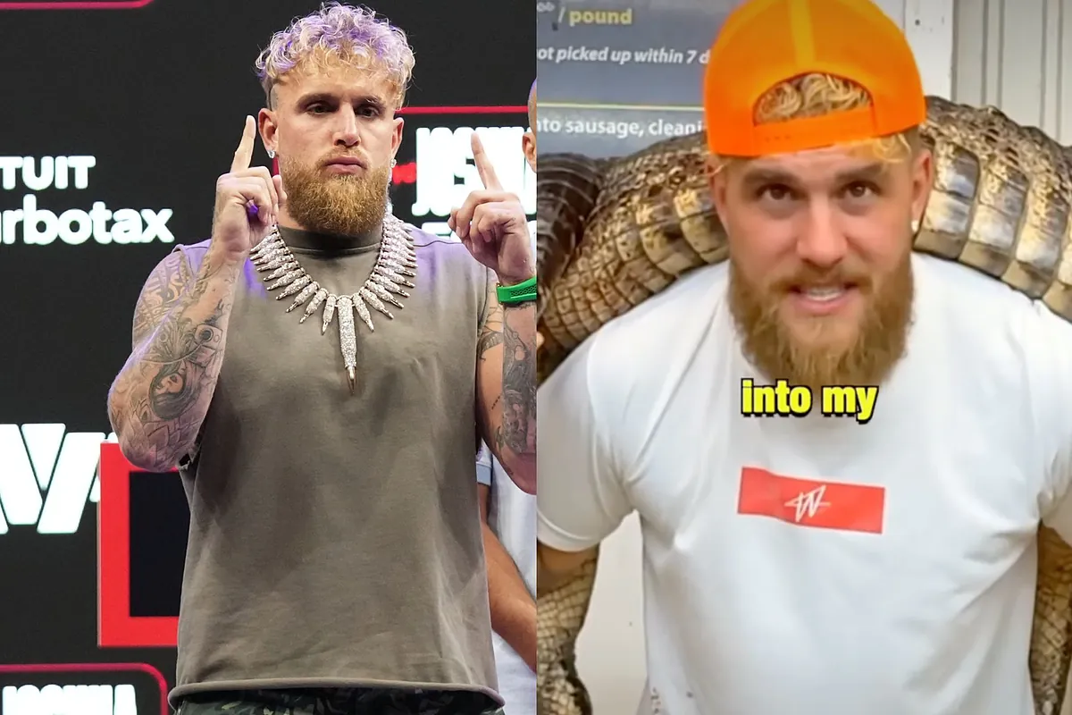 Jake Paul shows how he turned crocodile skin into his fight outfit | Marca