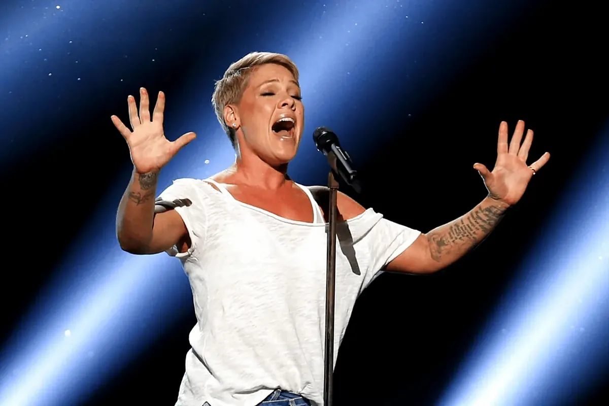 Pink spends New Year's Eve alone in hospital while family enjoys snow ...
