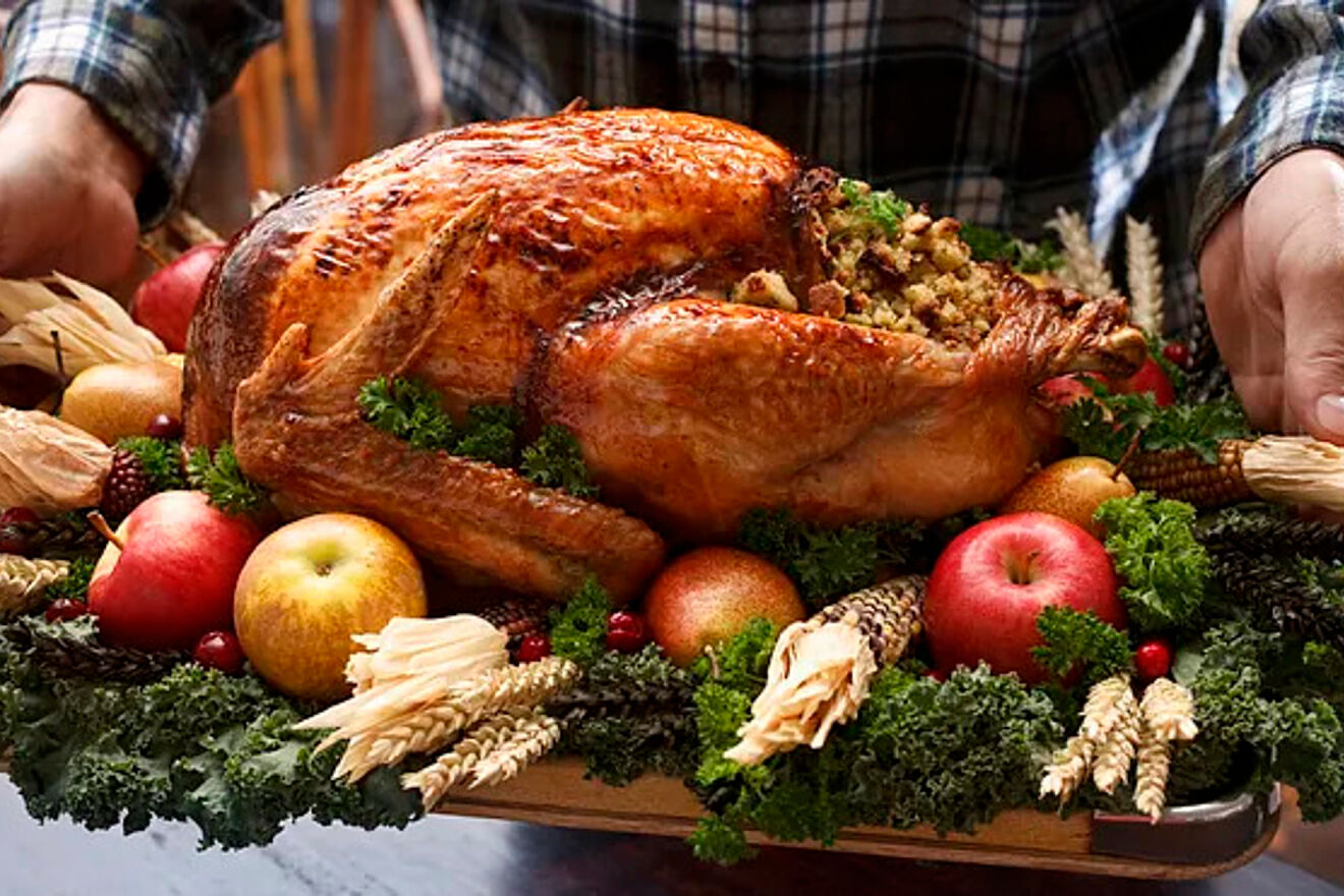 Why do we eat turkey on Thanksgiving? Here's the history of the holiday ...