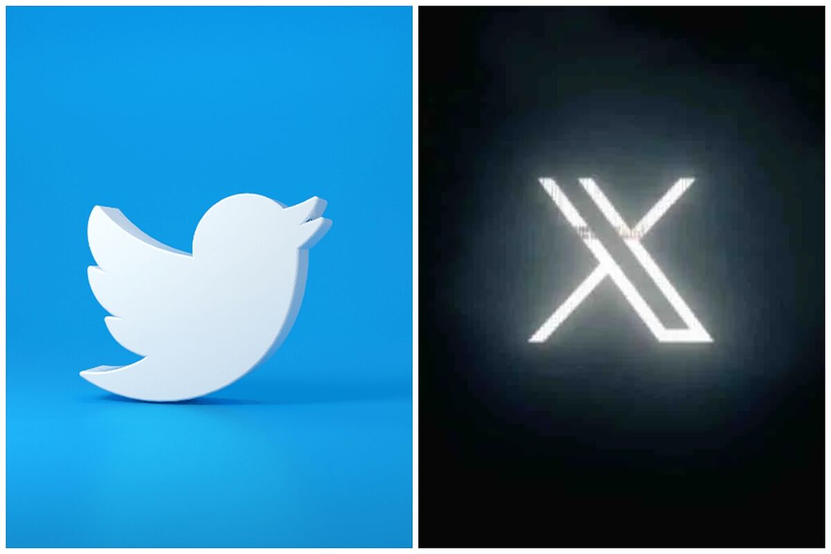 Elon Musk changes Twitter's logo and name: the new platform is called ...