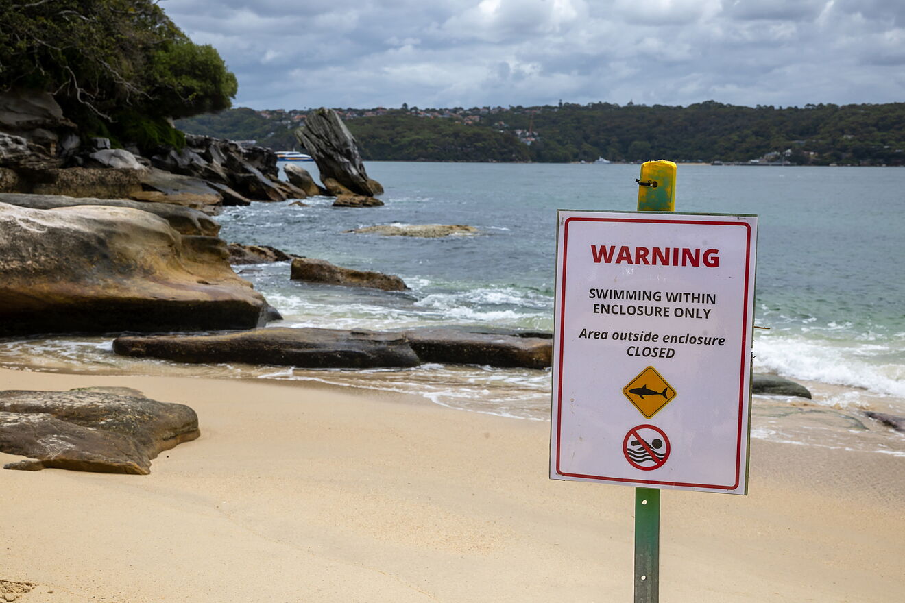 Australia shark attack: Boy, 12, dies in tragic Sydney Harbour incident ...