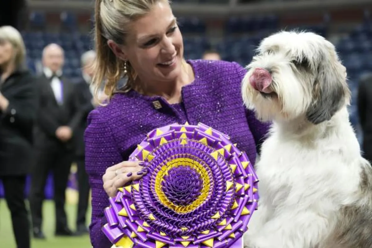 How to watch the National Dog Show Thanksgiving Day 2025: Time, TV ...
