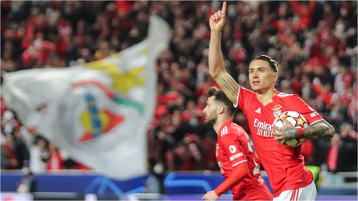 Liverpool reach an agreement to sign Darwin Nunez | Marca