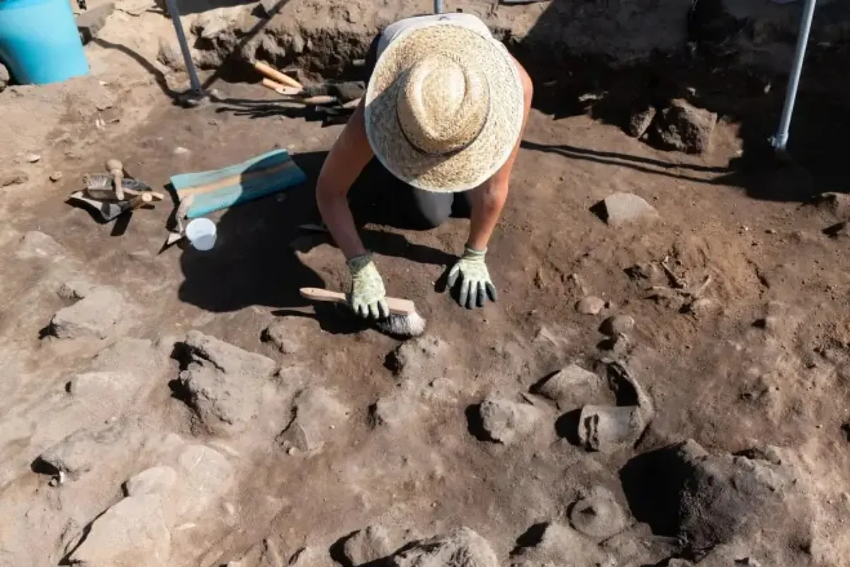 Archaeology earthquake: pit full of skulls found in 4,000-year-old ...