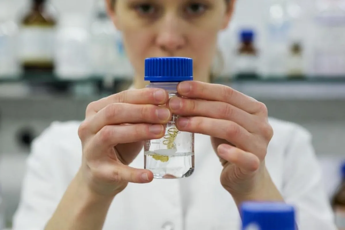 Stir in biology after scientists find life forms inside human bodies ...