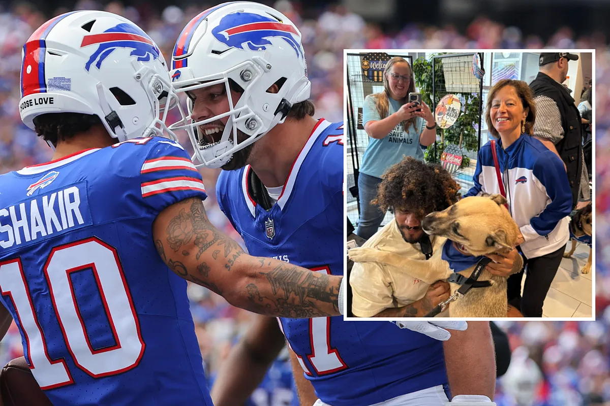 Josh Allen, Buffalo Bills star, can be proud of his receiver Khalil ...