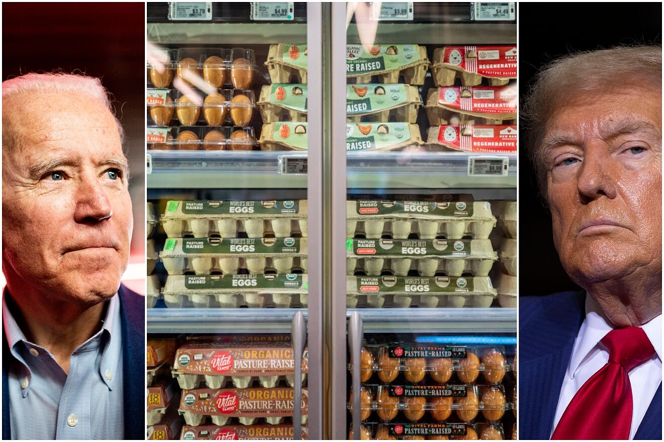 The White House blames Biden for egg shortage: he slaughtered 100 ...