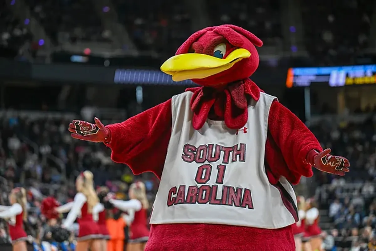 Why is South Carolina's mascot a gamecock? The story behind the ...